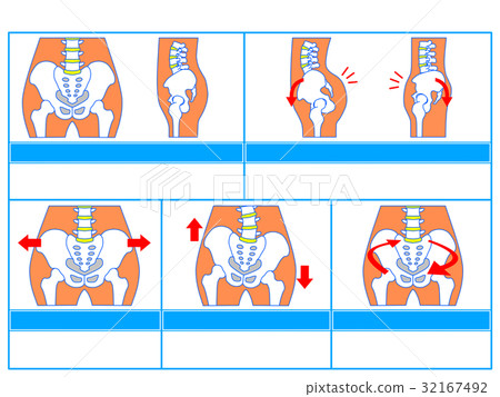 Pelvic Distortion / Classification Figure 1... - Stock Illustration ...