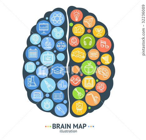 Human Brain Map Concept Left and Right Hemisphere - Stock Illustration ...