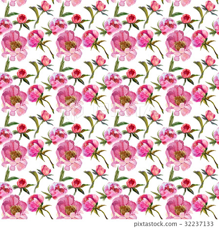 Wildflower peony flower pattern in a watercolor - Stock Illustration ...