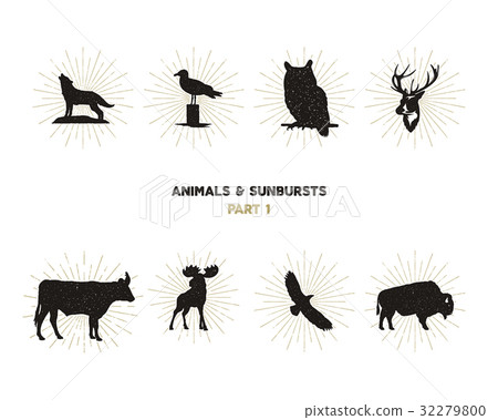 Set of wild animal figures and shapes with-插圖素材 [32279800] - PIXTA圖庫