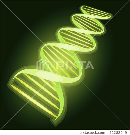 The DNA molecule biological object. Vector - Stock Illustration ...