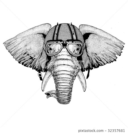 African or indian Elephant wearing biker helmet - Stock Illustration ...