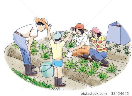 Harvest of a radish family gardening family... - Stock Illustration ...