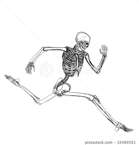 Human skeleton running - Stock Illustration [32489501] - PIXTA
