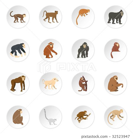 Monkey types icons set in flat style - Stock Illustration [32523947 ...