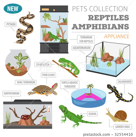 Pet reptiles appliance icon set flat style - Stock Illustration ...