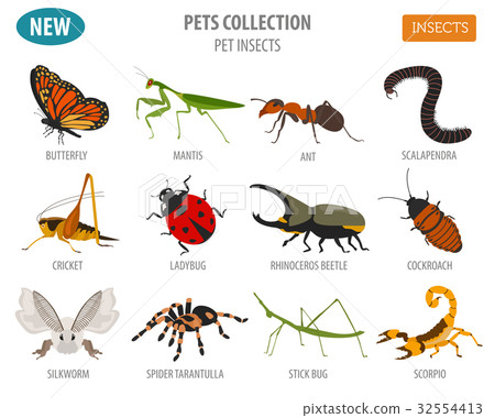 Pet insects breeds icon set flat style isolated - Stock Illustration ...