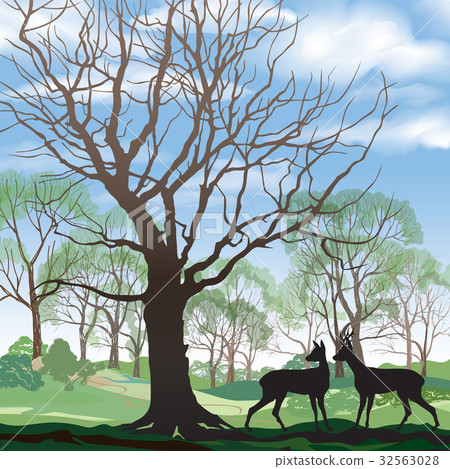 Spring landscape animal deer. Nature background - Stock Illustration ...