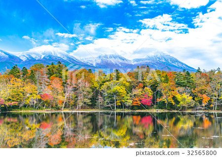 "Hokkaido" Autumn leaves, Shiretoko - Stock Photo [32565800] - PIXTA