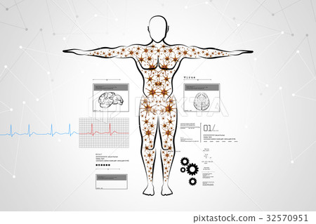 Molecular structure of human body-插圖素材 [32570951] - PIXTA圖庫