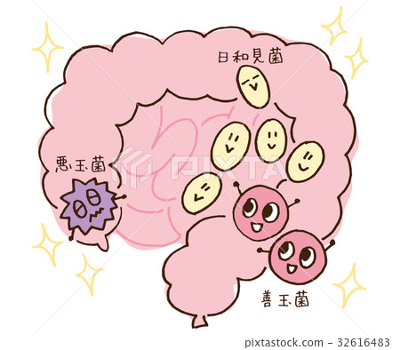 Good gut bacteria dominant intestinal environment - Stock Illustration ...