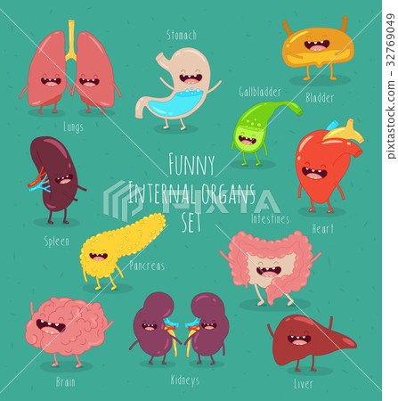 Healthy internal organs. Funny illustration art - Stock Illustration ...