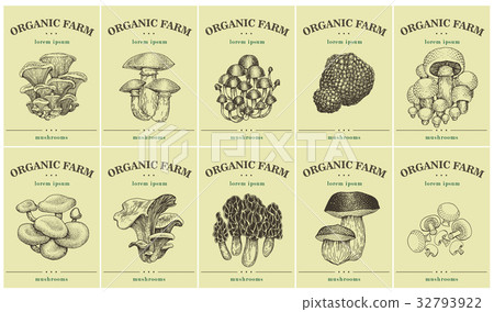 Labels with various Mushrooms. Set templates price - Stock Illustration ...