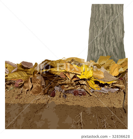 Humus soil - Stock Illustration [32836628] - PIXTA