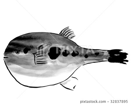 Fugu (hand-drawn illustration of ink) - Stock Illustration [32837895 ...