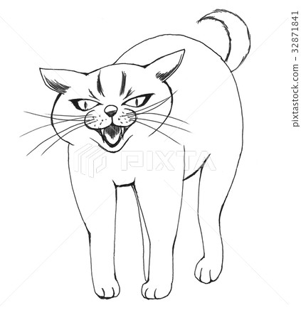Intimidating cat - Stock Illustration [32871841] - PIXTA