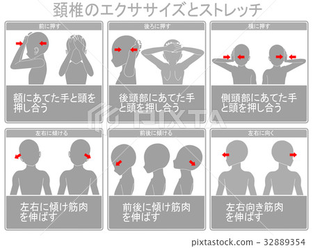 Exercise and stretch of the cervical spine... - Stock Illustration ...