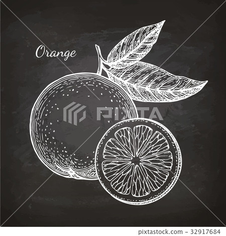 Chalk sketch of orange - Stock Illustration [32917684] - PIXTA