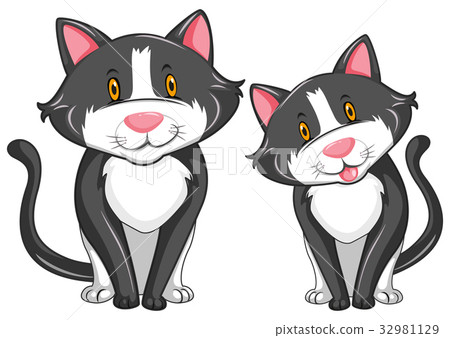 Two gray cats with happy face - Stock Illustration [32981129] - PIXTA
