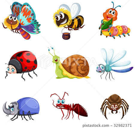 Different types of insects - Stock Illustration [32982371] - PIXTA