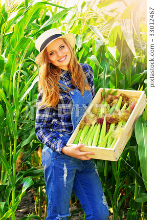 Young farmer girl on corn field. - Stock Photo [33012467] - PIXTA