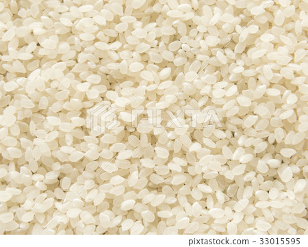 Rice grain Rice raw Japonica rice Material - Stock Photo [33015595] - PIXTA
