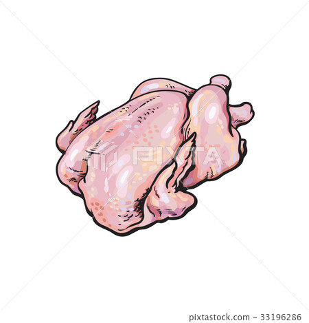 vector chicken carcass sketch illustration - Stock Illustration ...