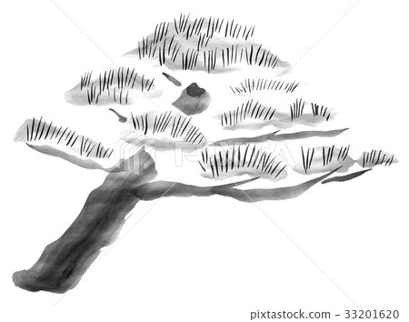 Pine ink painting - Stock Illustration [33201620] - PIXTA