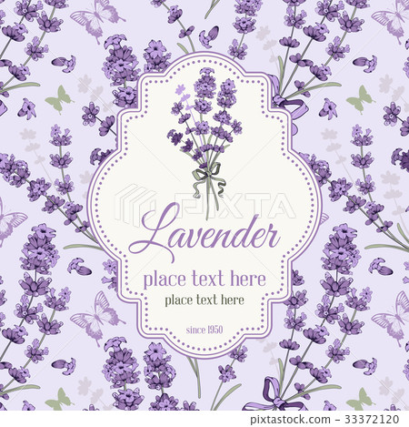 Lavender card - Stock Illustration [33372120] - PIXTA