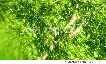 Trees and wind and feathers - Stock Illustration [33377448] - PIXTA