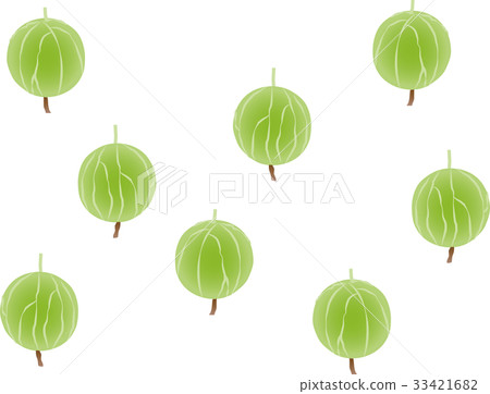 Western currants - Stock Illustration [33421682] - PIXTA