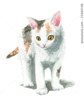 White Three-eyed Kitten - Stock Illustration [33484146] - PIXTA