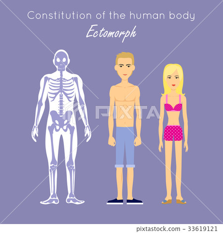Constitution of Human Body. Ectomorph. Ectomorphic - Stock Illustration ...