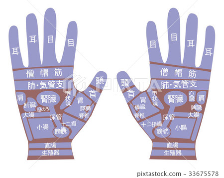 Reflexology hand reflection zone - Stock Illustration [33675578] - PIXTA