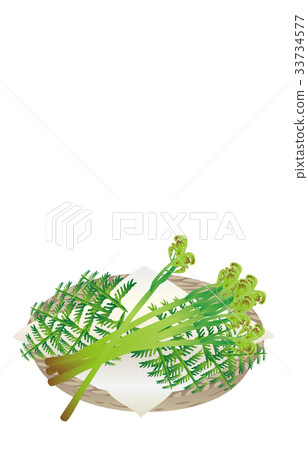 Spring tradition bracken - Stock Illustration [33734577] - PIXTA