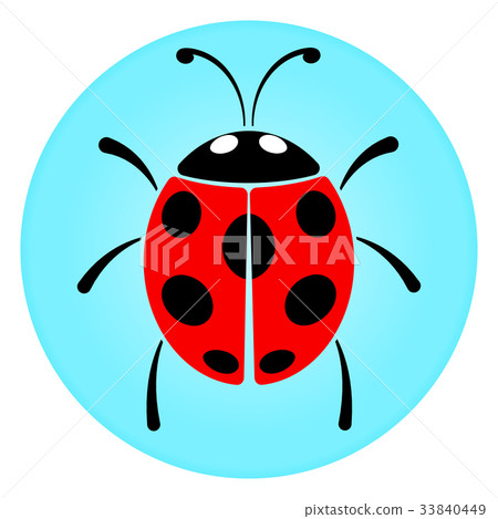 ladybug circle icon concept - Stock Illustration [33840449] - PIXTA