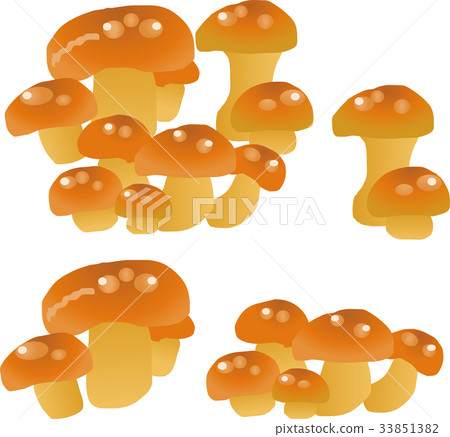 Nameco - Stock Illustration [33851382] - PIXTA