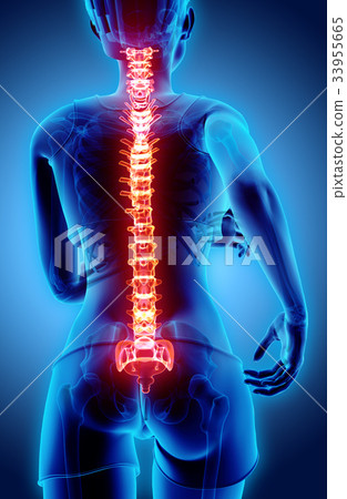 3d illustration - woman running pose spine. - Stock Illustration ...