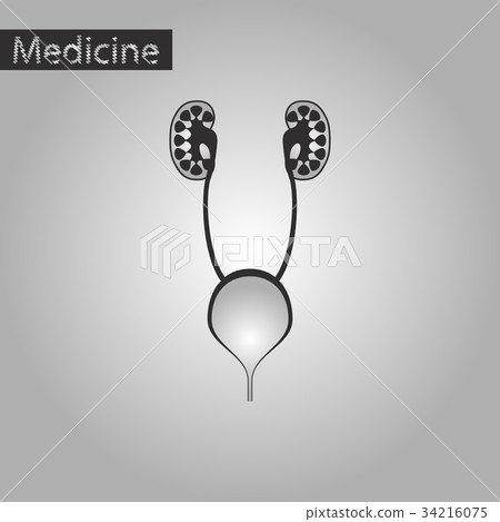 black and white style icon of excretory system - Stock Illustration ...