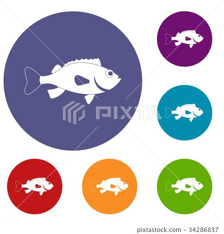 Sea bass fish icons set - Stock Illustration [34286837] - PIXTA