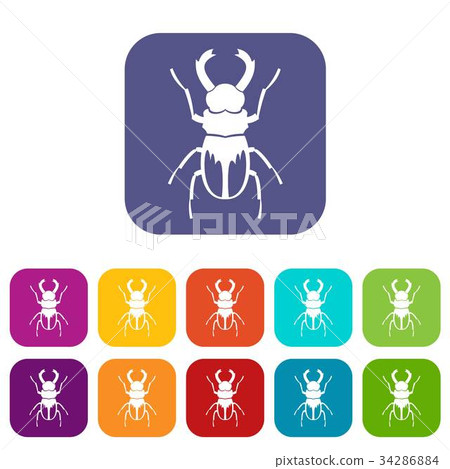Rhinoceros beetle icons set - Stock Illustration [34286884] - PIXTA