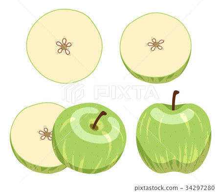Set of green apple (cross section) - Stock Illustration [34297280] - PIXTA