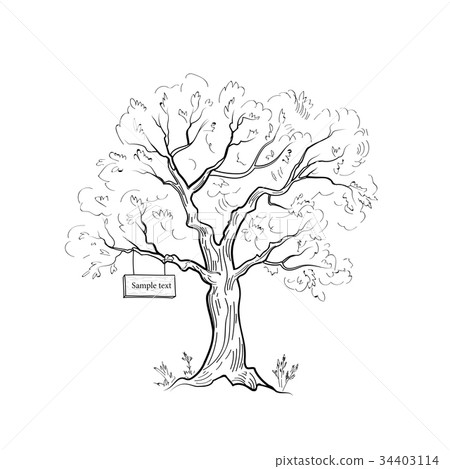 Tree arrow sign Nature landscape Outdoor signpoint - Stock Illustration ...