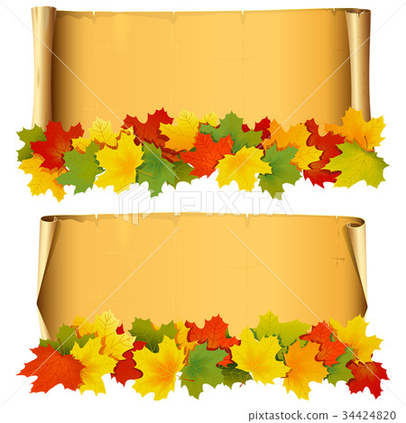 Vector Scroll with Autumn Leaves - Stock Illustration [34424820] - PIXTA