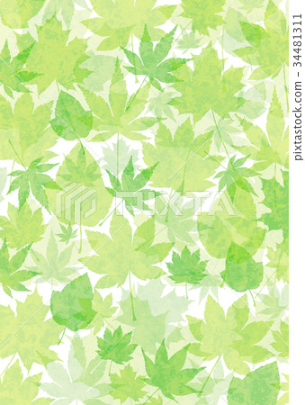 Background material _ Kaede (green) - Stock Illustration [34481311] - PIXTA