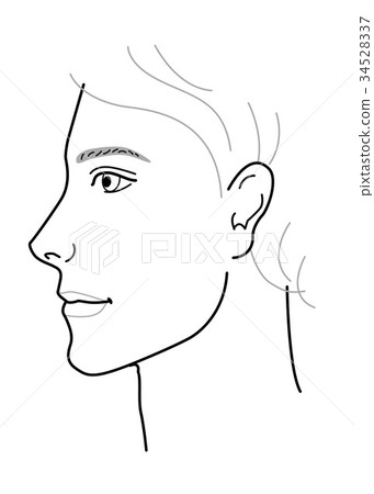 Male face side face illustration - Stock Illustration [34528337] - PIXTA