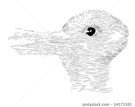 Illusion Duck and rabbit - Stock Illustration [34573385] - PIXTA
