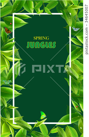 spring jungles - Stock Illustration [34645007] - PIXTA