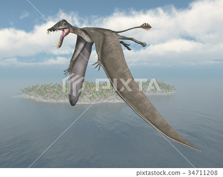 Pterosaur Dorygnathus - Stock Illustration [34711208] - PIXTA