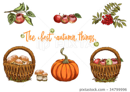 Set of autumn objects. - Stock Illustration [34799996] - PIXTA